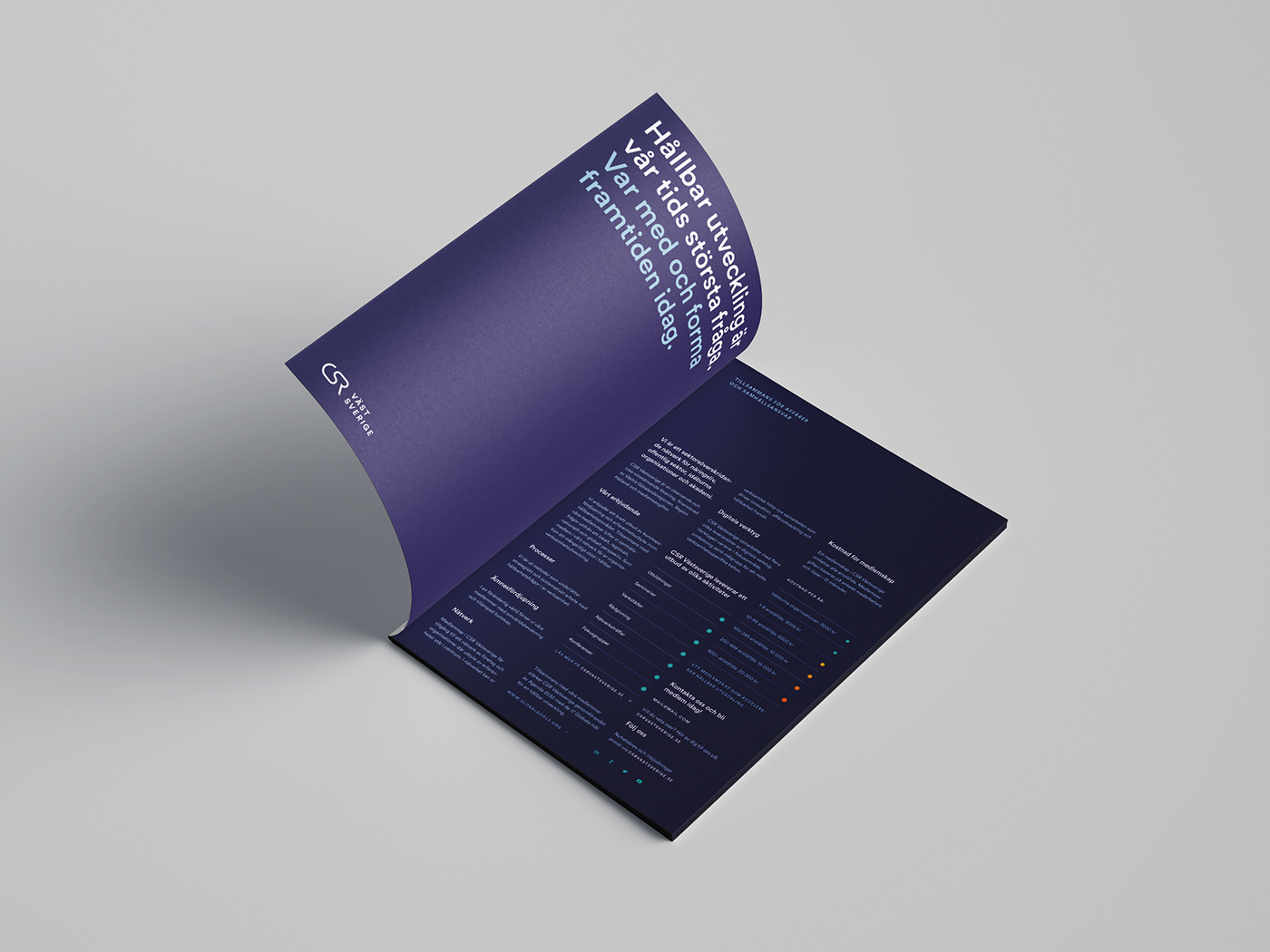 Brand Identity design and UI/UX design redesign for CSR - Inspiration ...