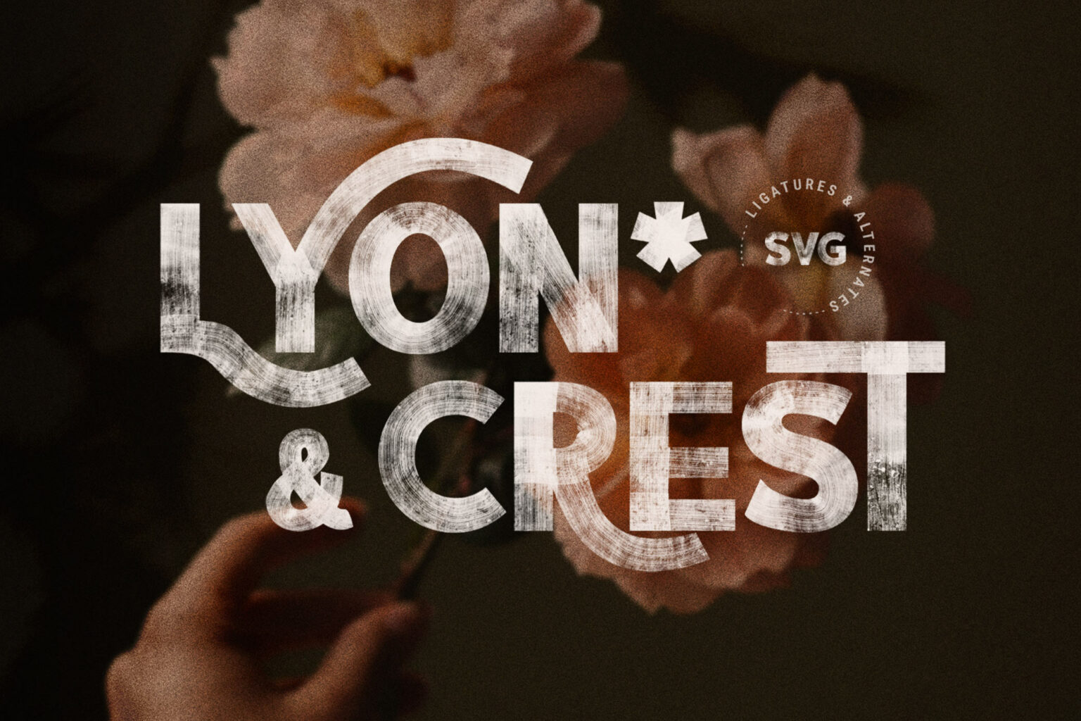 37 Free & Bold Fonts for Designer in 2022