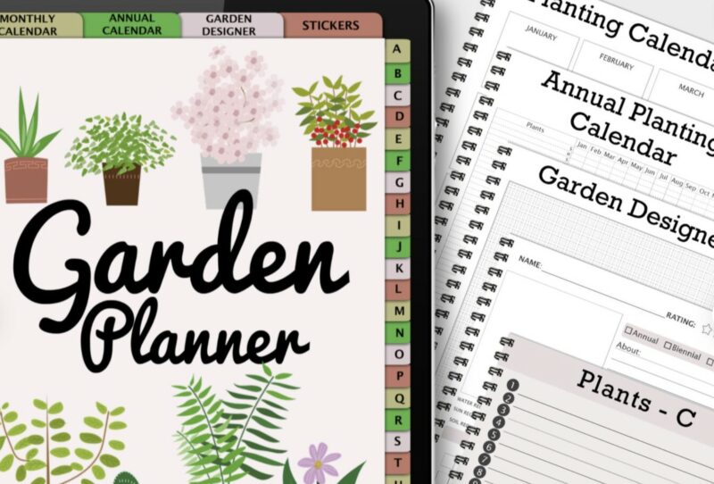 35 Useful and Beautiful GoodNotes Templates
