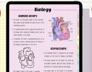 35 Useful and Beautiful GoodNotes Templates