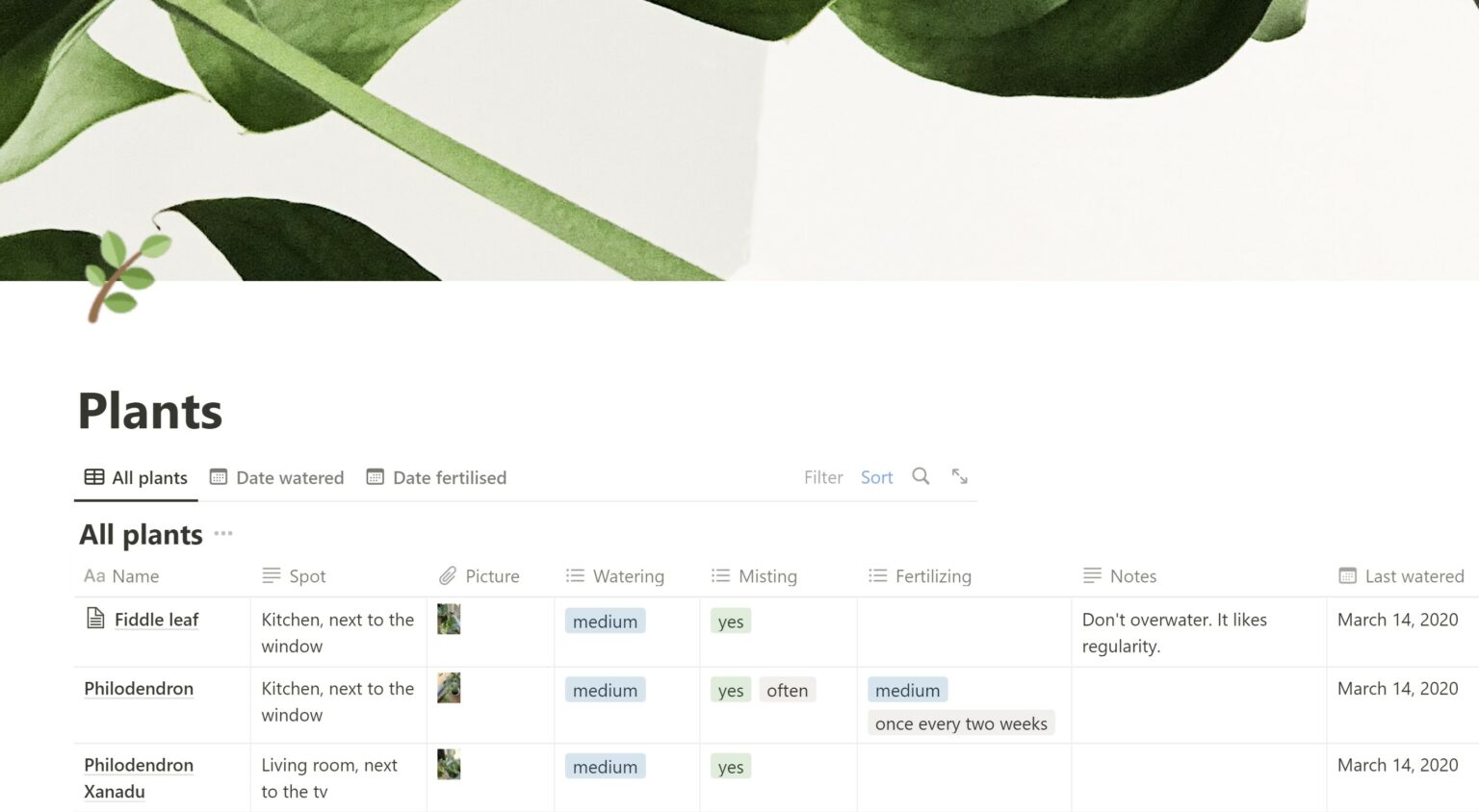 10 Best Notion Plant Trackers - Inspiration & Productivity for Everyone