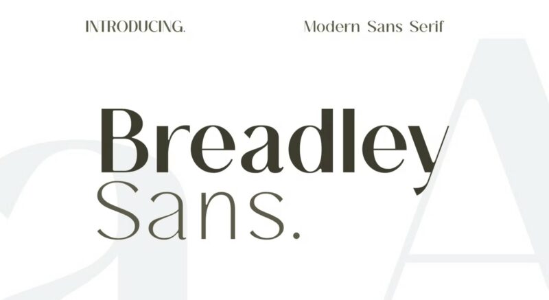 20 Best Fonts for Books - Inspiration & Productivity for Everyone