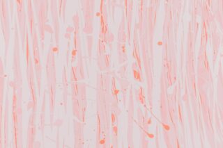 40 Beautiful Notion Covers & Banners for any Notion workspace ...