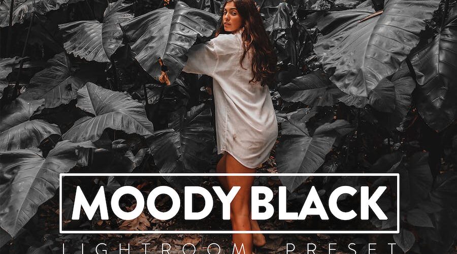 18 Dark & Moody Lightroom Presets