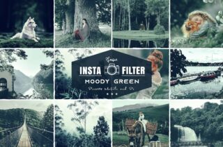 20 Stunning Green Lightroom Presets for Nature Photography