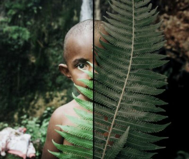 20 Stunning Green Lightroom Presets for Nature Photography