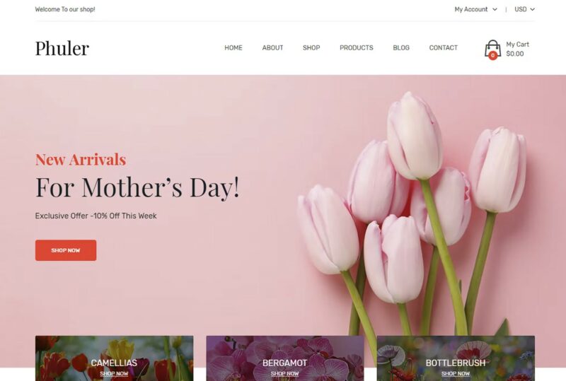 20 Best Shopify Themes In 2023 - Inspiration & Productivity for Everyone