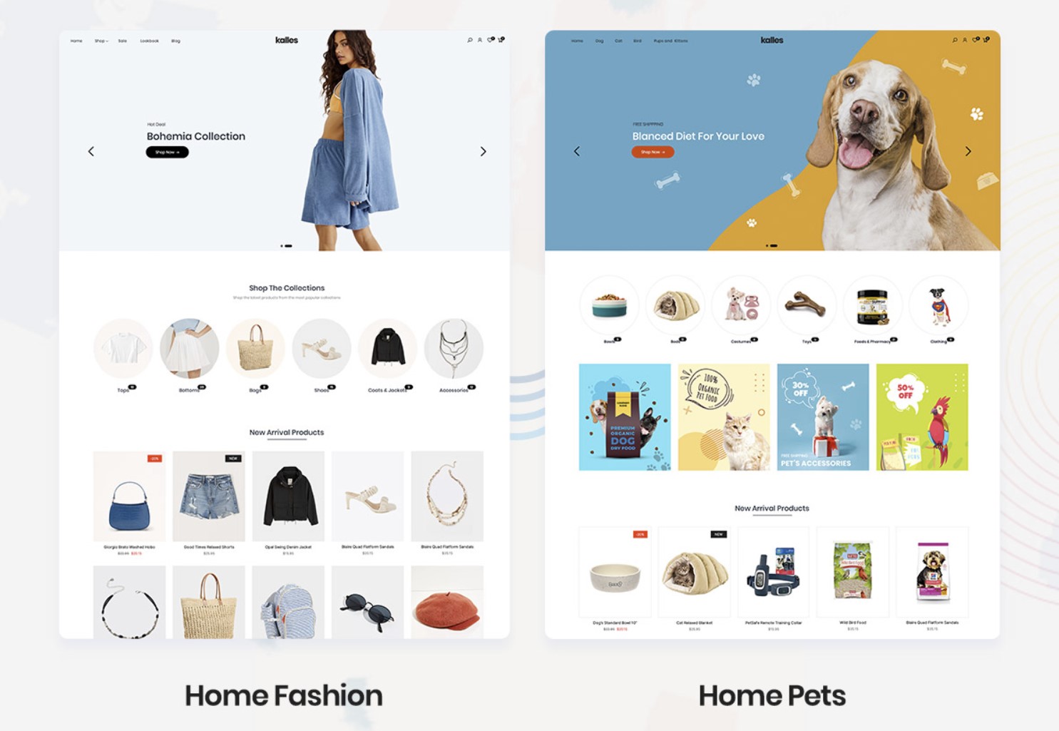 20 Best Shopify Themes In 2023 - Inspiration & Productivity for Everyone