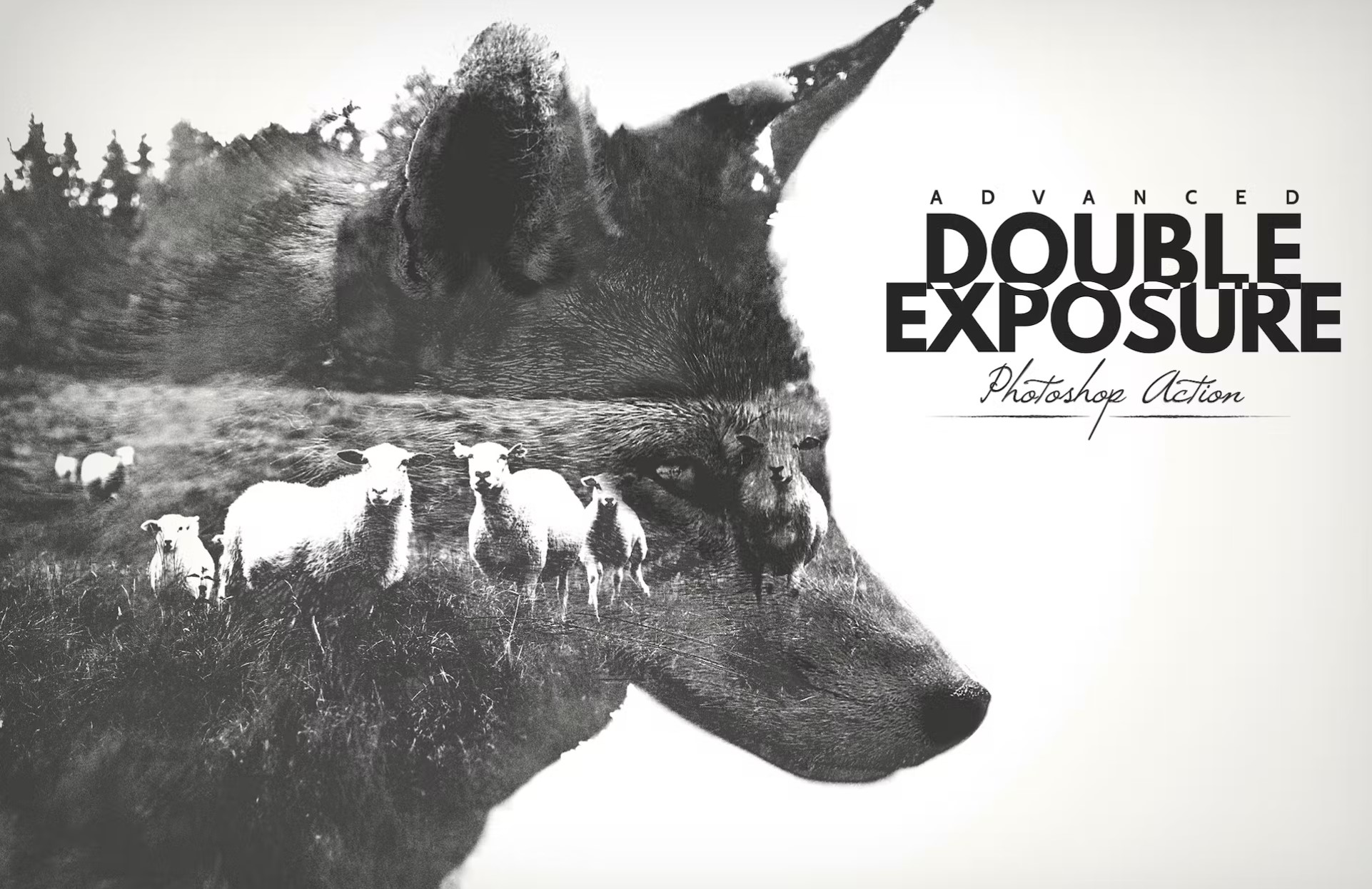 15 Best & Free Double Exposure Effect for PSD - Inspiration ...