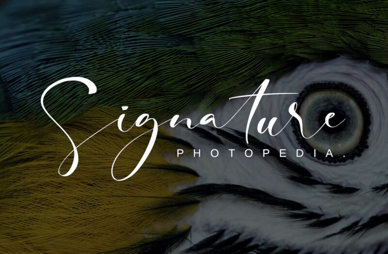 The Best Fonts for YouTube Videos in 2023 - Inspiration & Productivity ...