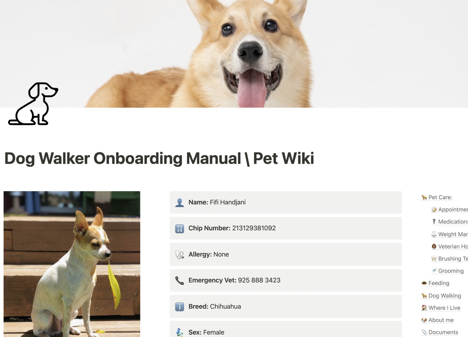 Top 10 Notion Templates for Pet Owners - Inspiration & Productivity for ...