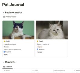 Top 10 Notion Templates for Pet Owners - Inspiration & Productivity for ...