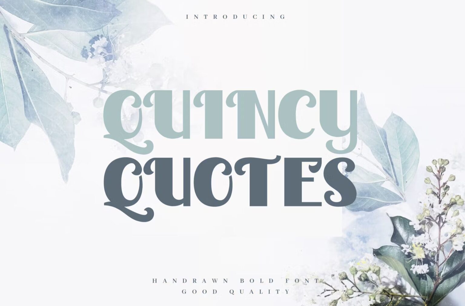20 Best & Free Fonts for Quotes - Inspiration & Productivity for Everyone