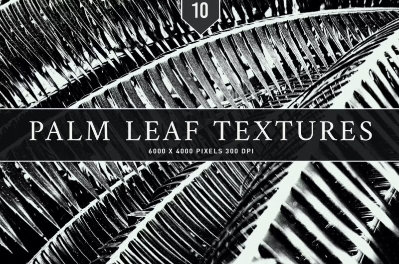 Texture Heaven: 30 Free and High-Quality Textures for Your Next Design ...