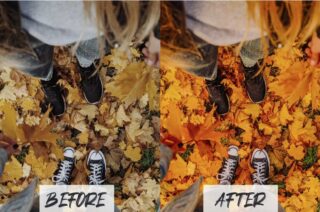 10+ Best Autumn Lightroom Presets - Inspiration & Productivity for Everyone