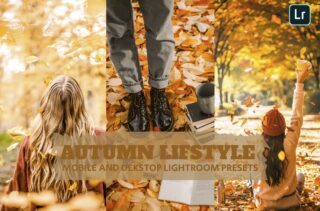 10+ Best Autumn Lightroom Presets - Inspiration & Productivity for Everyone
