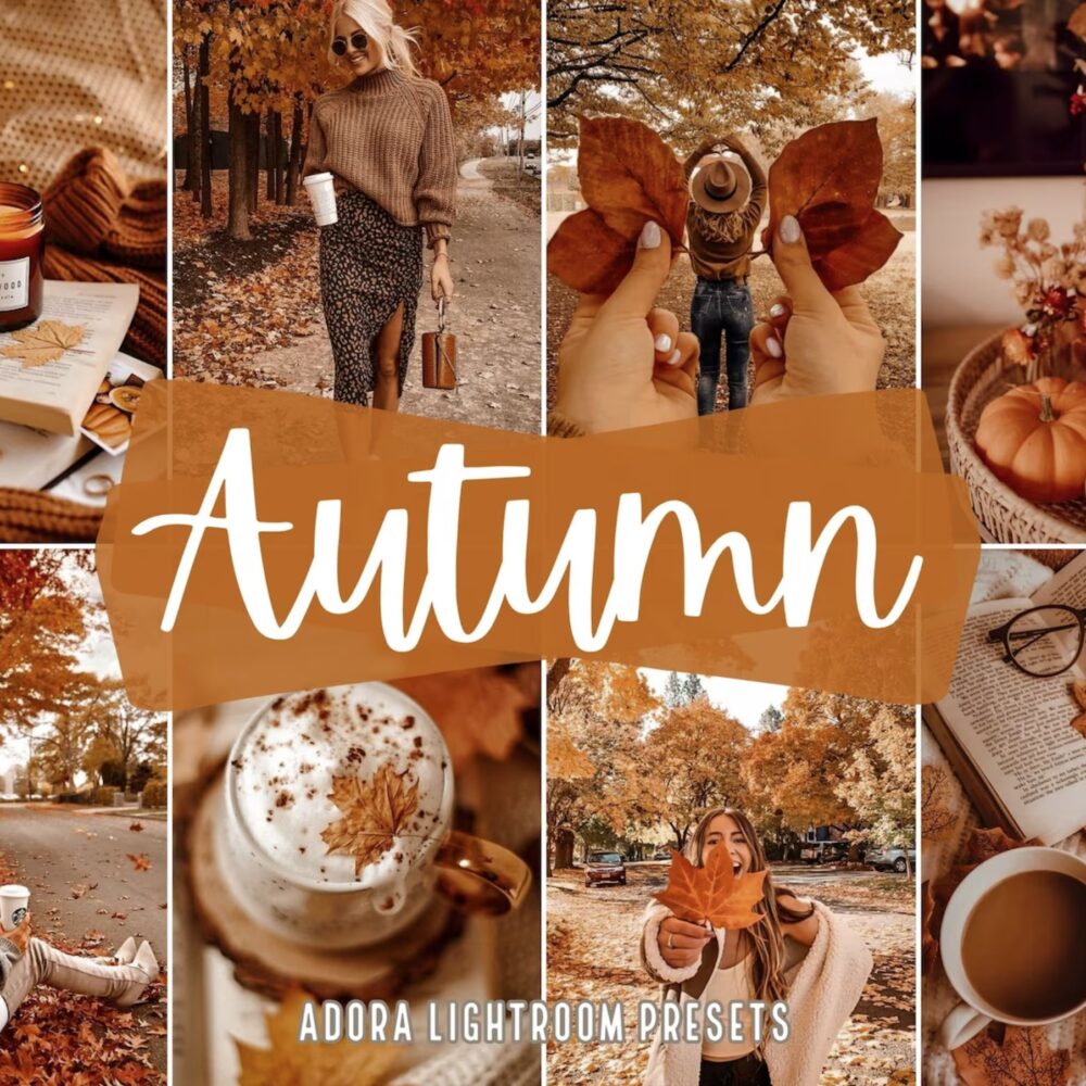 10+ Best Autumn Lightroom Presets