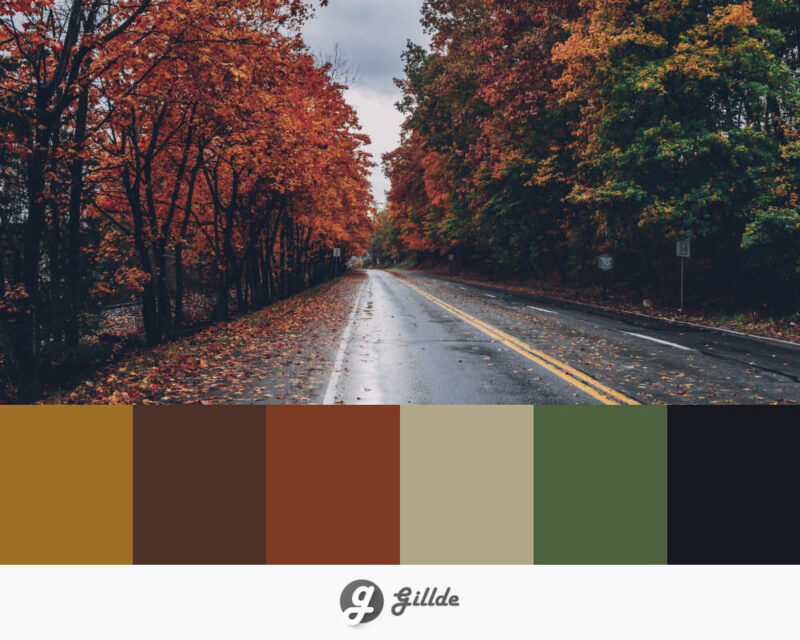 20 Stunning Fall Color Palettes - Inspiration & Productivity for Everyone