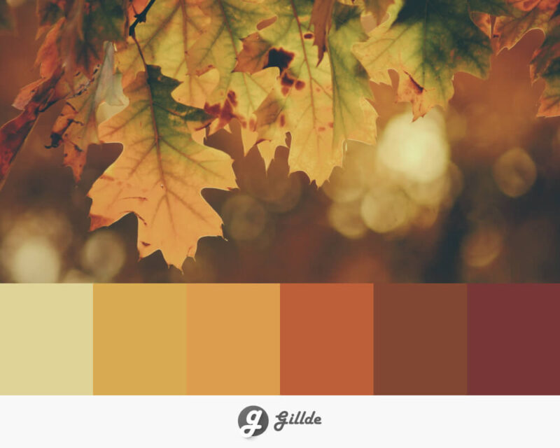 20 Stunning Fall Color Palettes - Inspiration & Productivity for Everyone