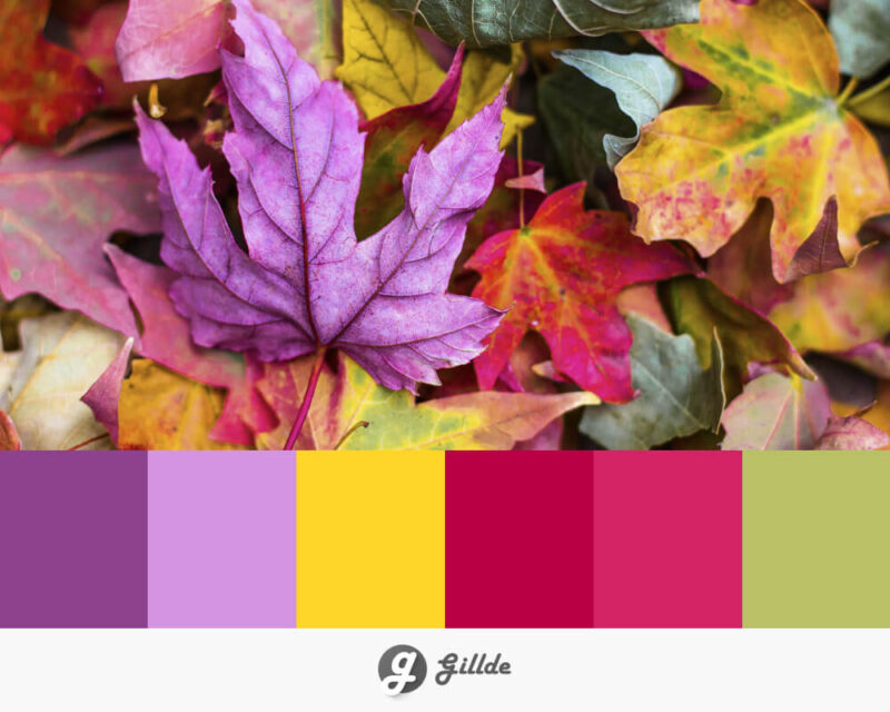 20 Stunning Fall Color Palettes - Inspiration & Productivity for Everyone