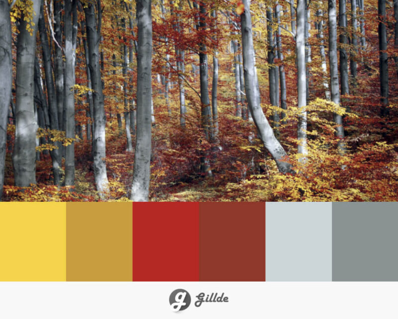20 Stunning Fall Color Palettes - Inspiration & Productivity for Everyone