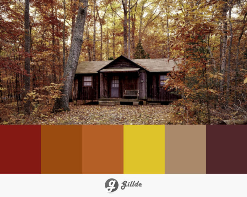 20 Stunning Fall Color Palettes - Inspiration & Productivity for Everyone