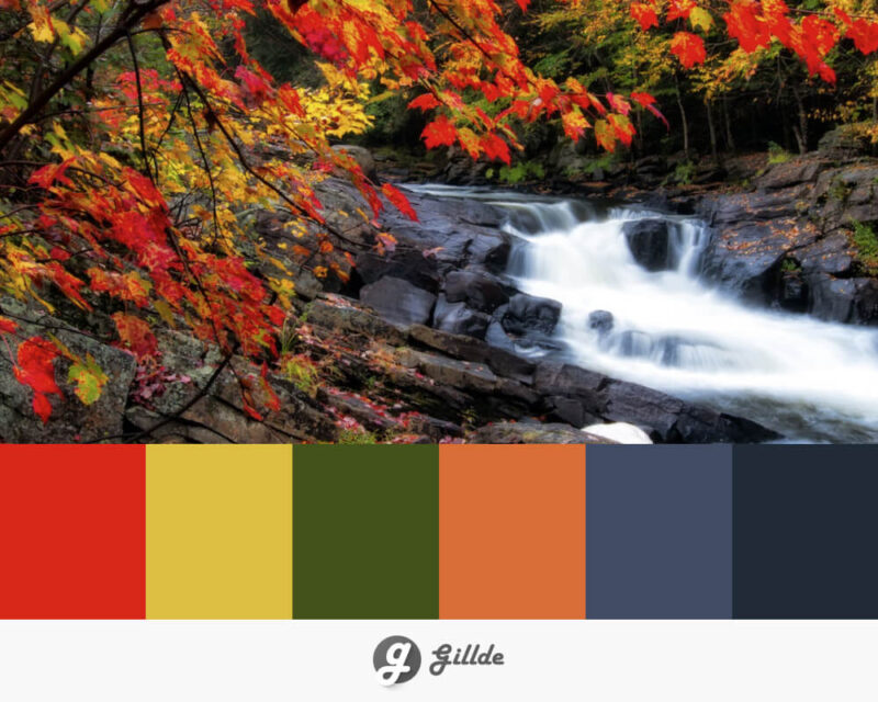 20 Stunning Fall Color Palettes - Inspiration & Productivity for Everyone