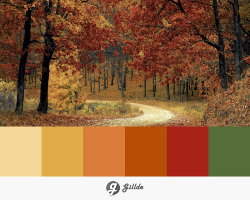 20 Stunning Fall Color Palettes - Inspiration & Productivity for Everyone