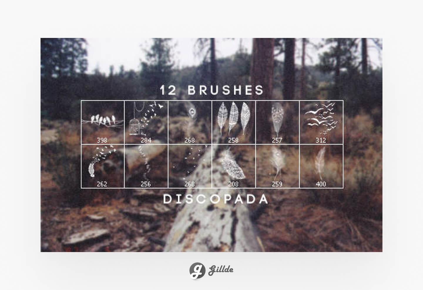 The 10 Best Free Nature Brushes for Photoshop - Inspiration ...