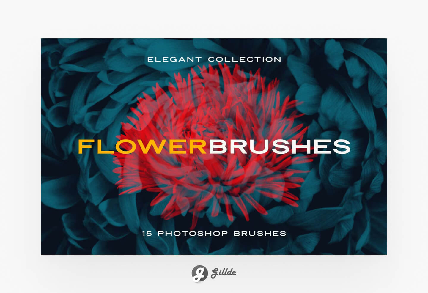 The 10 Best Free Nature Brushes for Photoshop - Inspiration ...