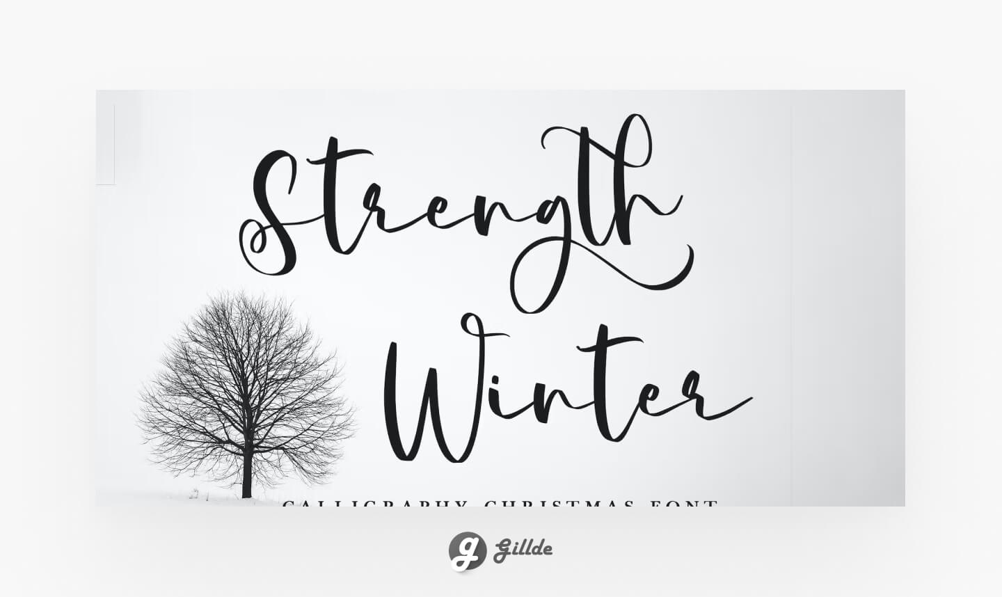 10+ Best Winter, Ice & Snow Fonts (Free & Pro) - Inspiration ...