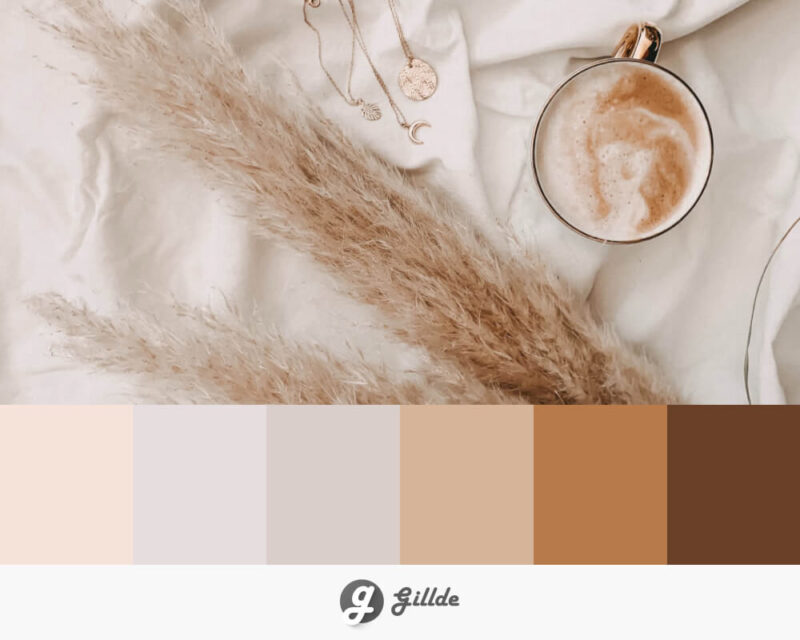 10 Cream Color Palettes for Your Palette Inspiration - Inspiration ...